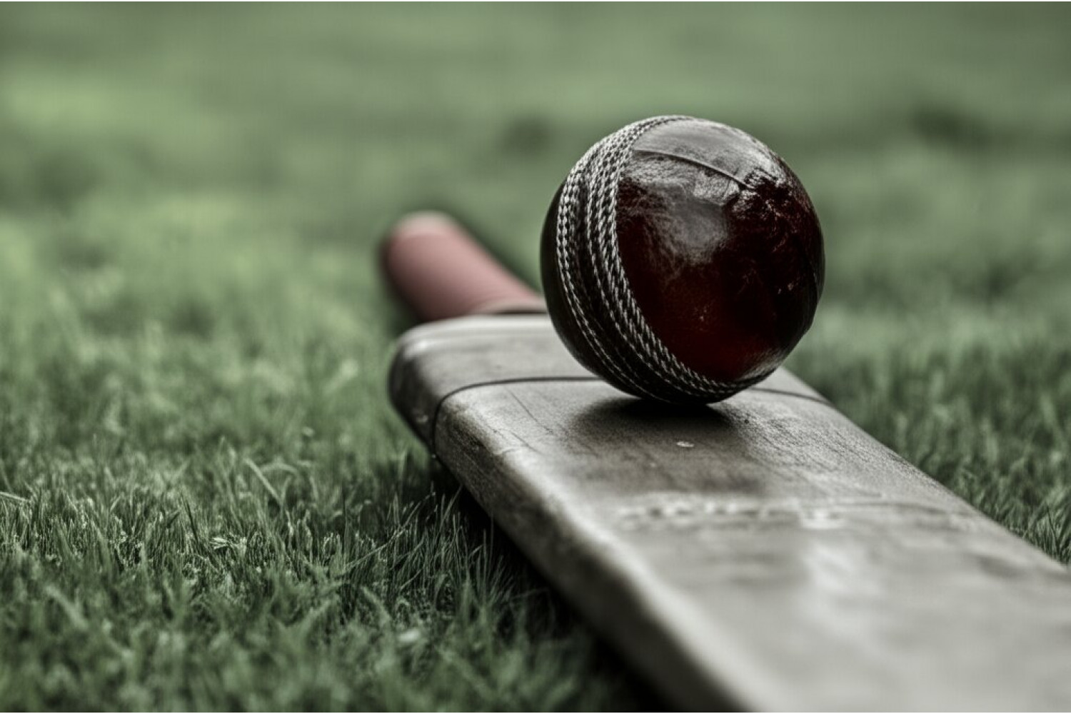Правила крикета: все, что нужно знать об этой захватывающей игре